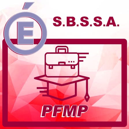 PFMP - Guide d'organisation des PFMP pour le Bac pro HPS | pedagogie.ac-guadeloupe.fr